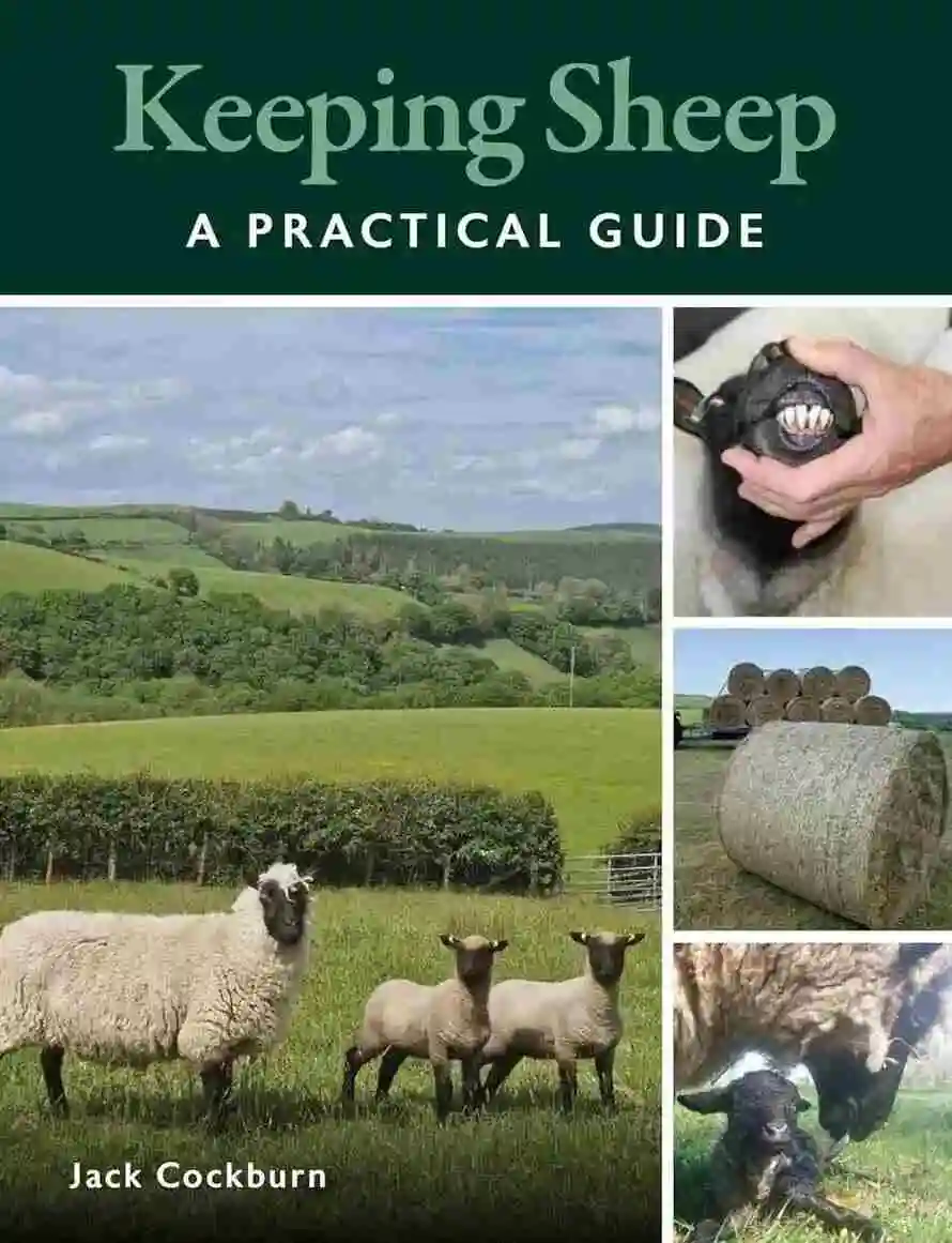 Keeping Sheep: A Prectical Guide