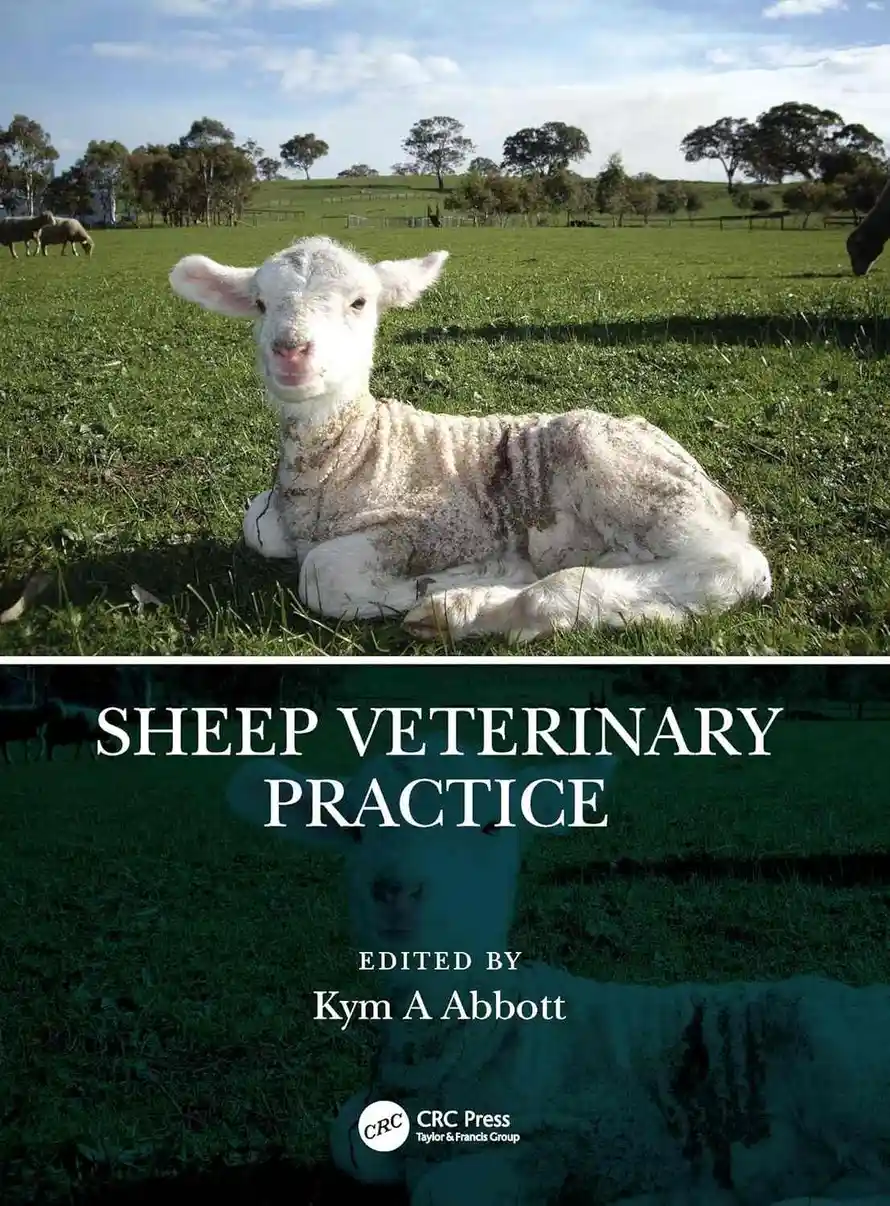 Sheep Veterinary Practice - Booksvets