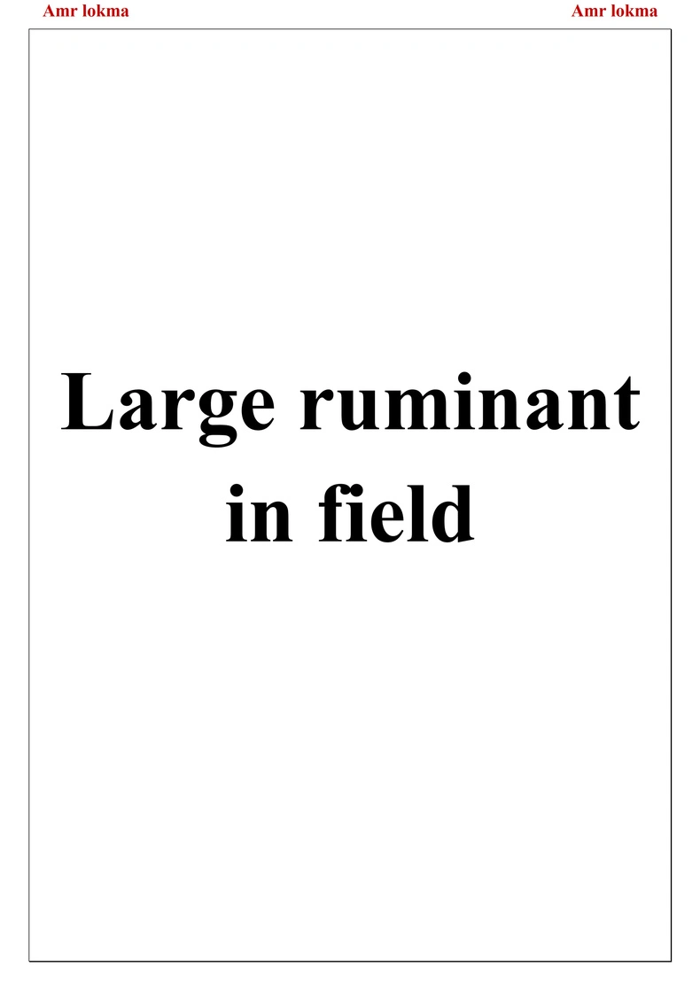 Large ruminant in field