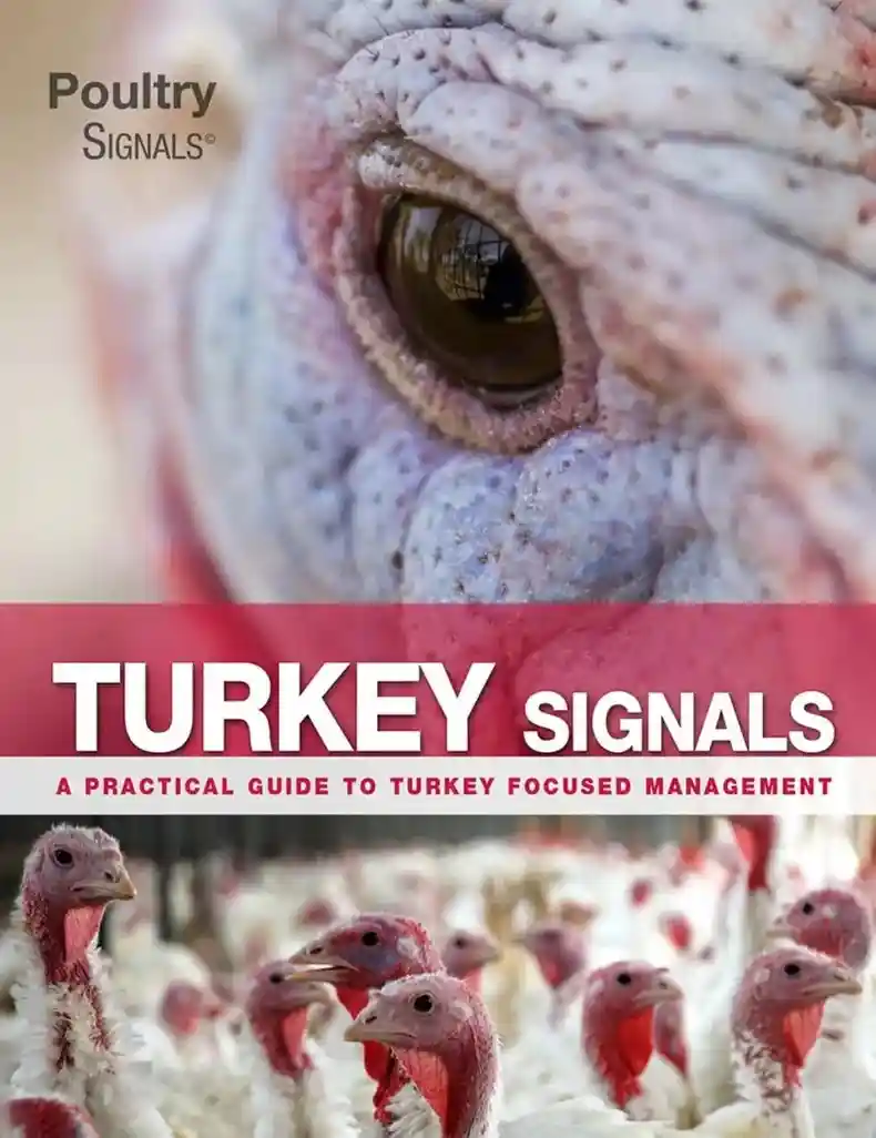 Turkey Signals: A Practical Guide to Turkey Focused Management